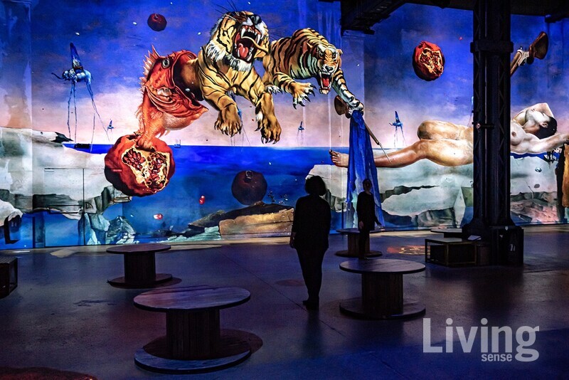 빛으로 경험하는 달리